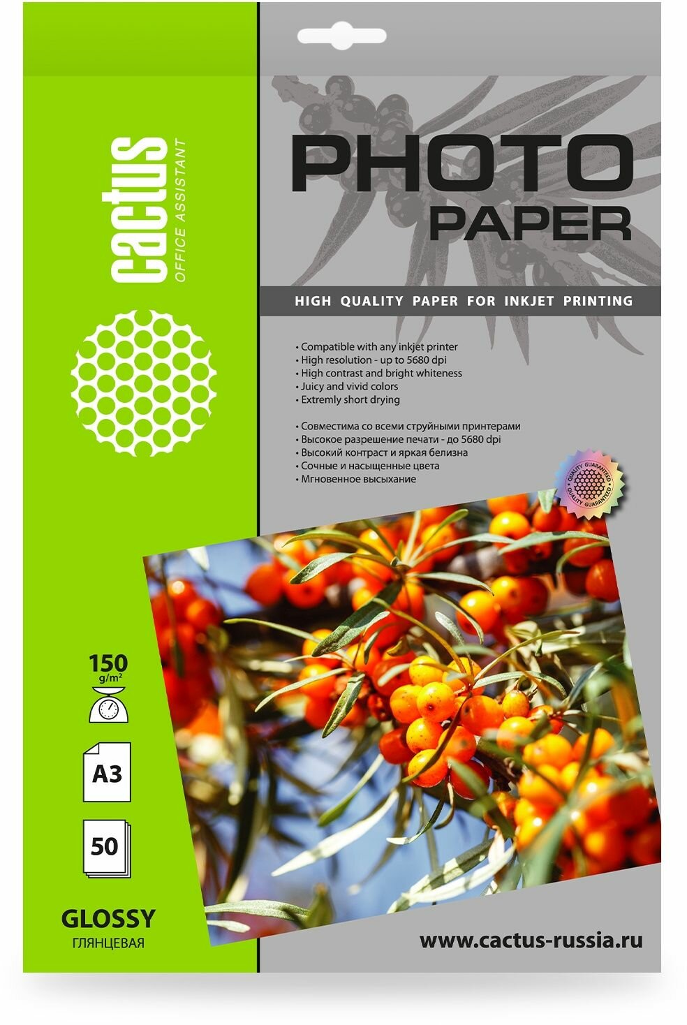 Фотобумага CACTUS A3, 150 г/м2, 50 л, глянцевая, для струйной печати (CS-GA315050)
