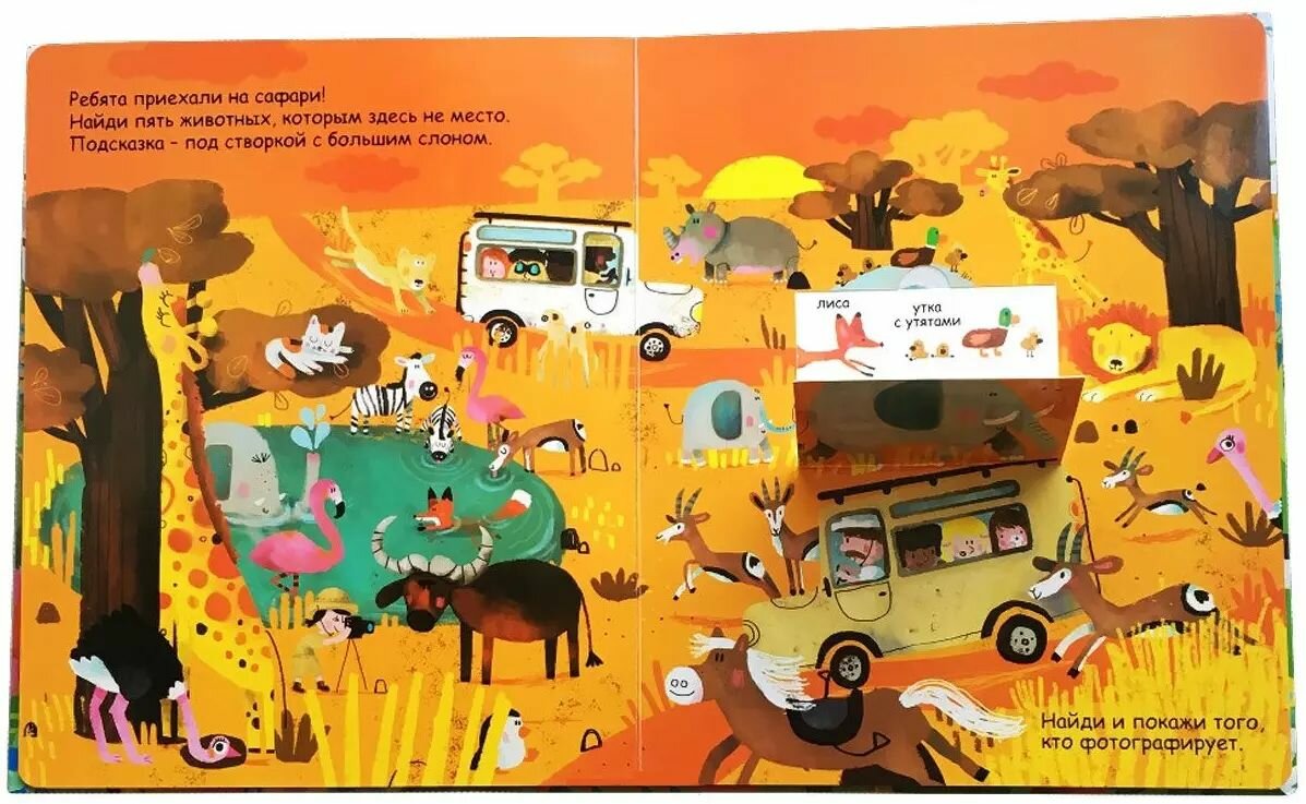 Запутаница. Найди кто лишний. Книга с окошками