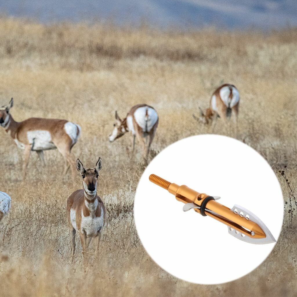 1 штука охотничьих наконечников 2 фиксированных острия из нержавеющей стали