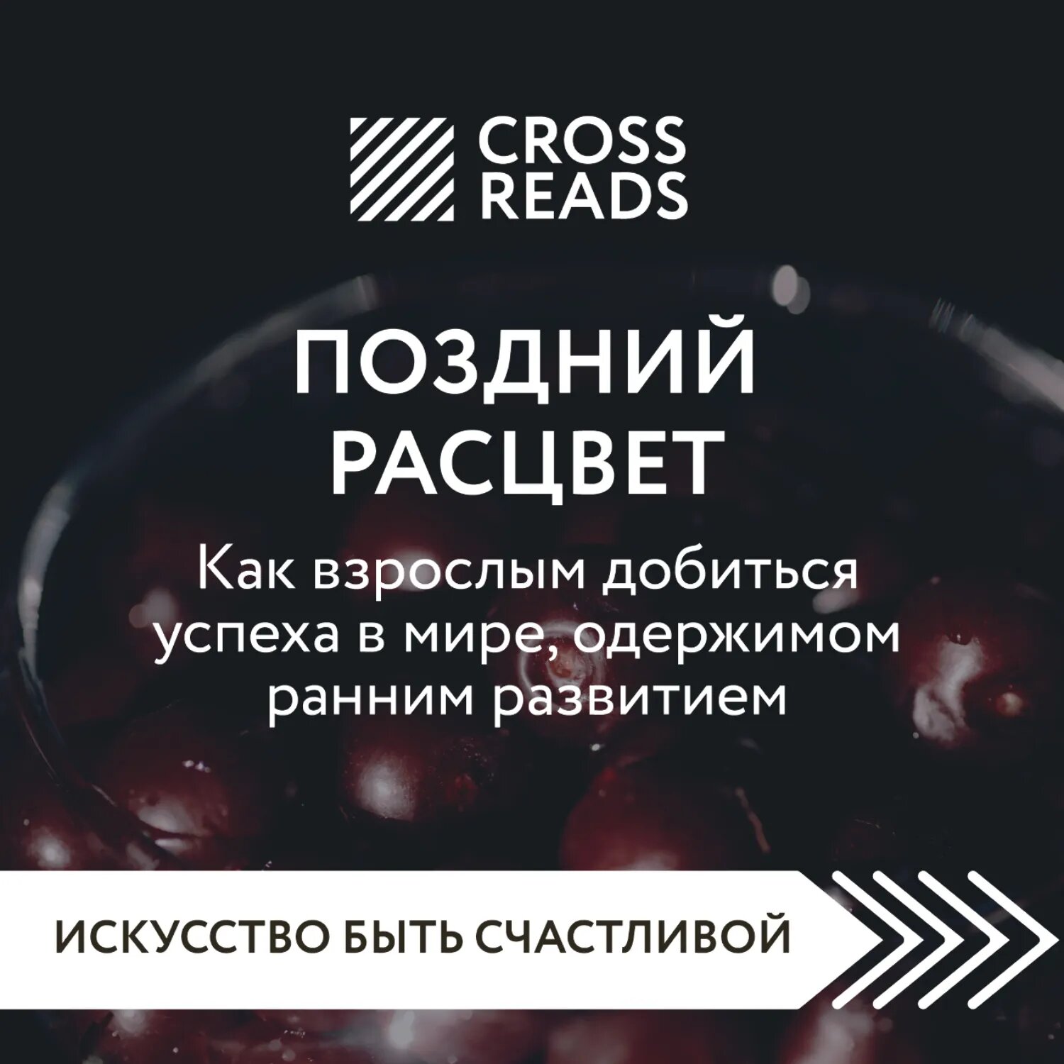Саммари книги «Поздний расцвет. Как взрослым добиться успеха в мире, одержимом ранним развитием» [Аудиокнига]