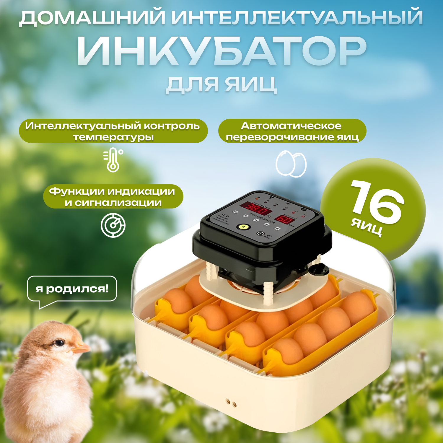 Инкубатор для яиц автоматический