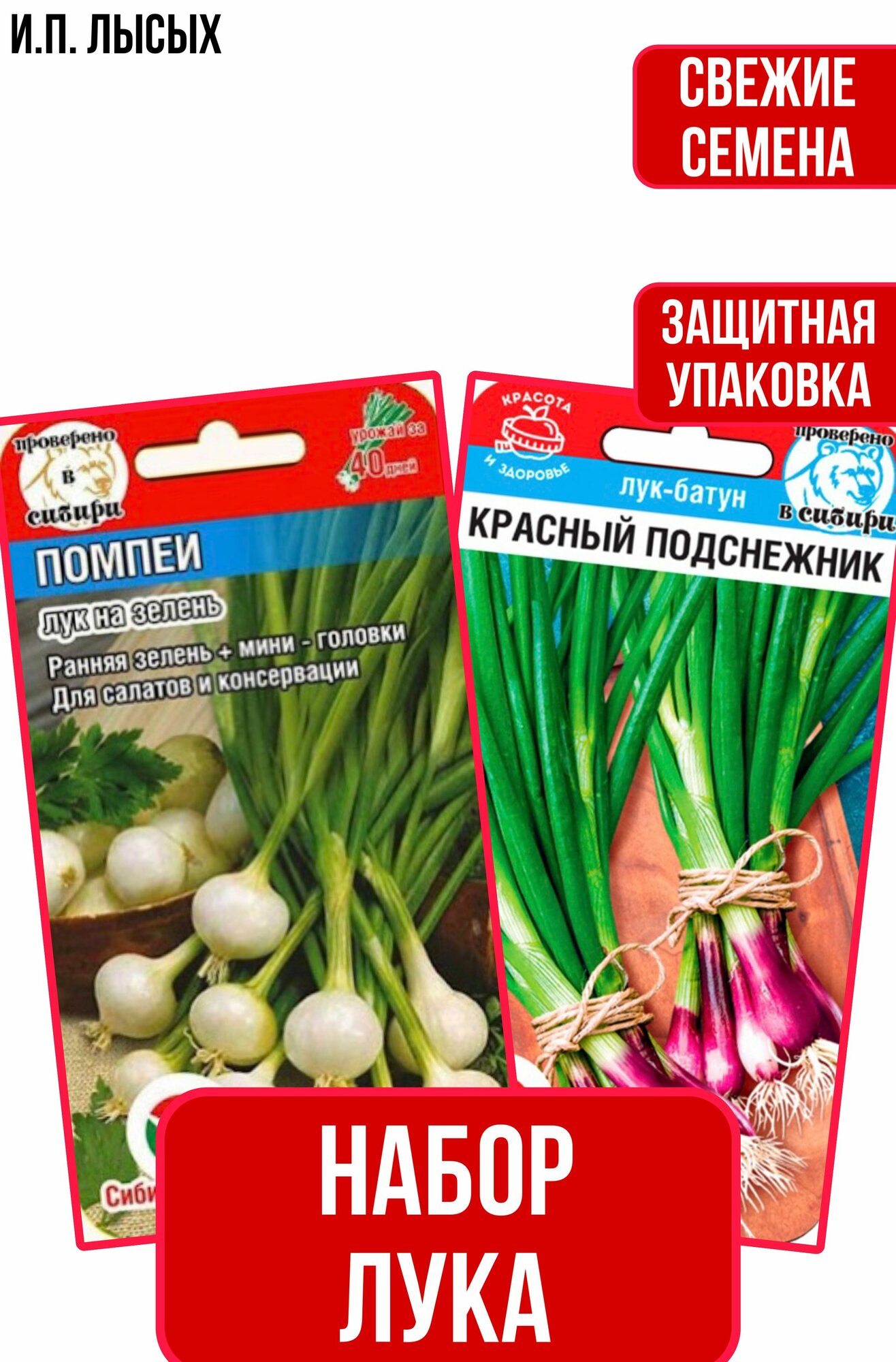 Набор Семян Лука