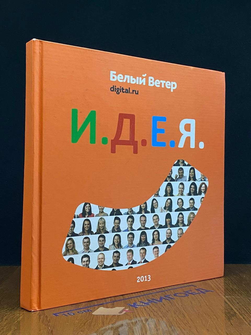 Книга. Белый ветер. И. Д. Е. Я. 2013 (2041280252916)