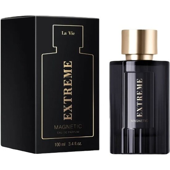 Мужская парфюмерная вода Dilis Extreme Magnetic, 100 мл