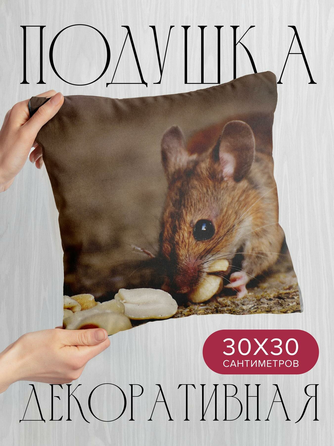 Подушка декоративная, 30x30см / Животные / европейская мышь / мышь