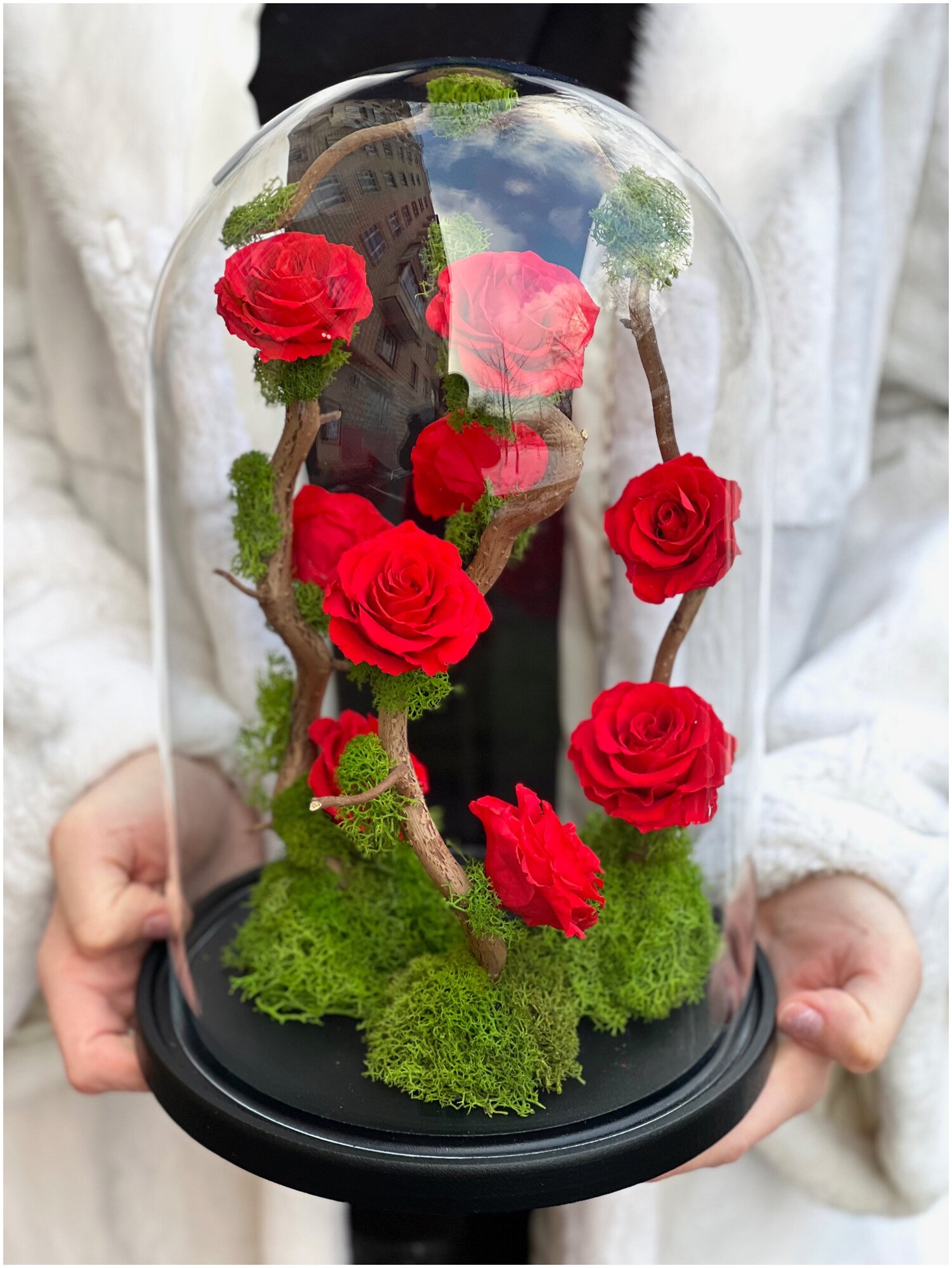 Композиция в стекле из красных роз "Элексир Любви" /32 см/ Живет 5 лет