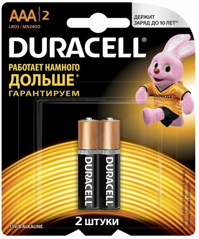 Батарея Duracell Basic CN LR03-2BL MN2400 AAA (2шт)