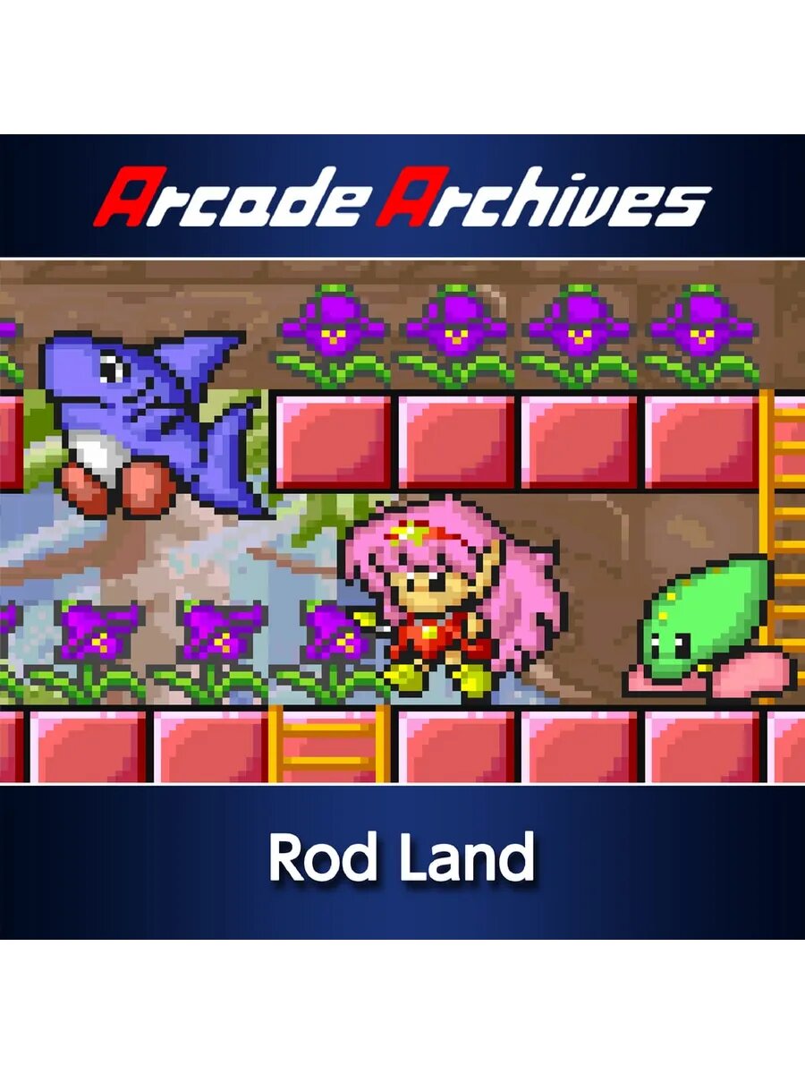Arcade Archives Rod Land PS4 & PS5