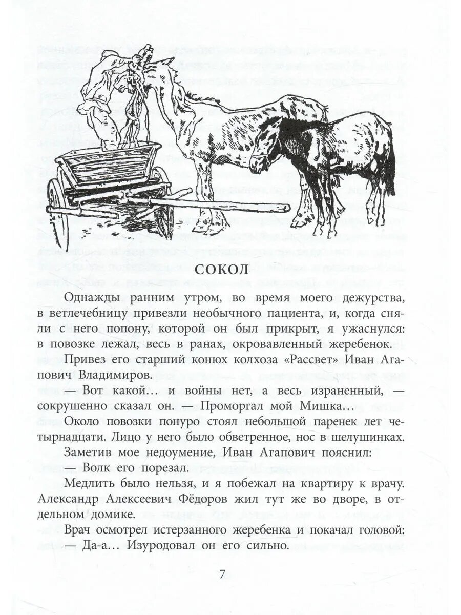 Пират, ищи! — фото 1