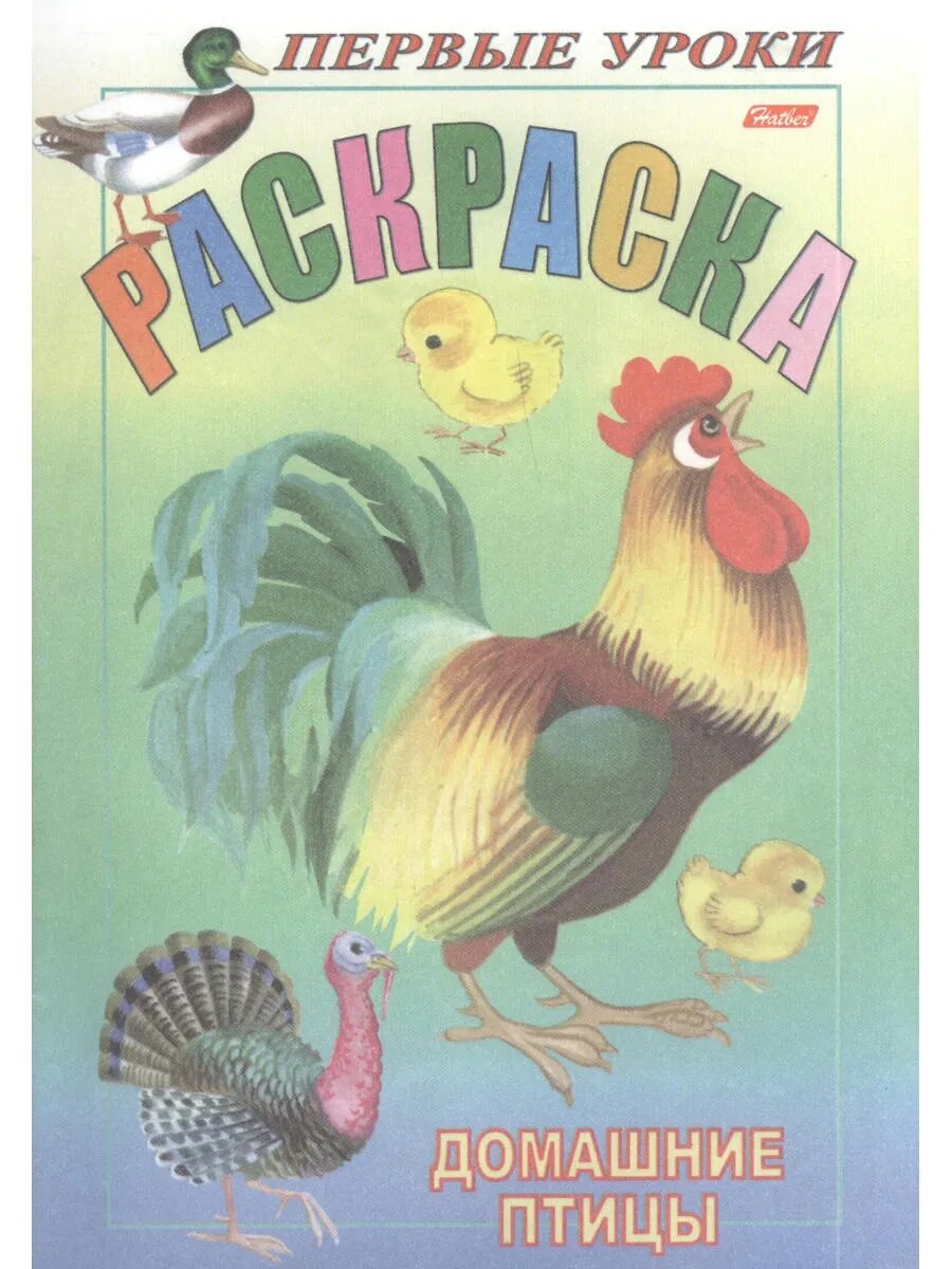 Раскраска. Домашние птицы