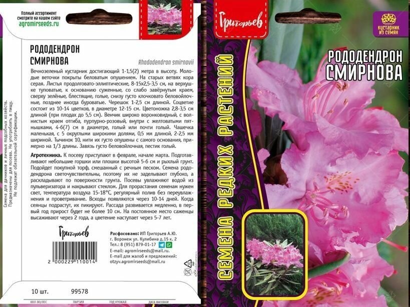 Рододендрон Смирнова 10 семян х 1 упаковка /Редкие семена