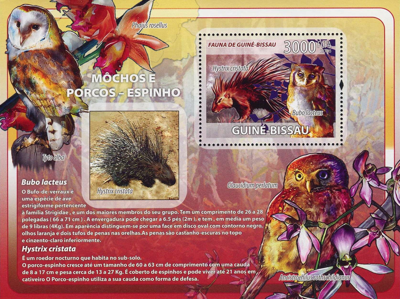Почтовые марки Гвинея-Бисау 2008г. "Птицы и орхидеи" Орхидеи, Совы, Птицы, Цветы MNH
