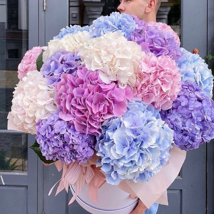 Букет из гортензий 17 шт в шляпной коробке, красивый букет цветов, шикарный, премиум цветы, премиум букет