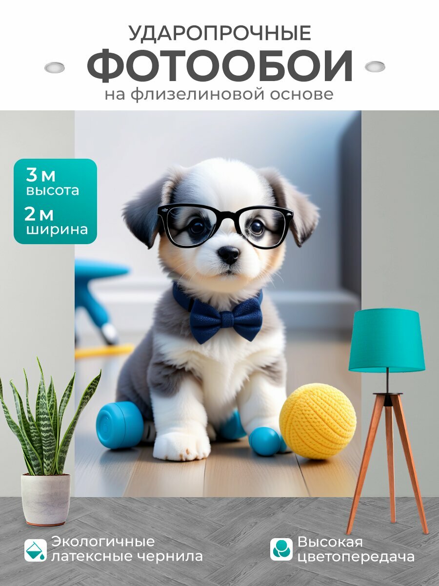 Фотообои моющиеся ударопрочные "Очаровательная собачка в стильных очках, стоящая рядом с игрушкой" 200x300 см. флизелиновые на стену