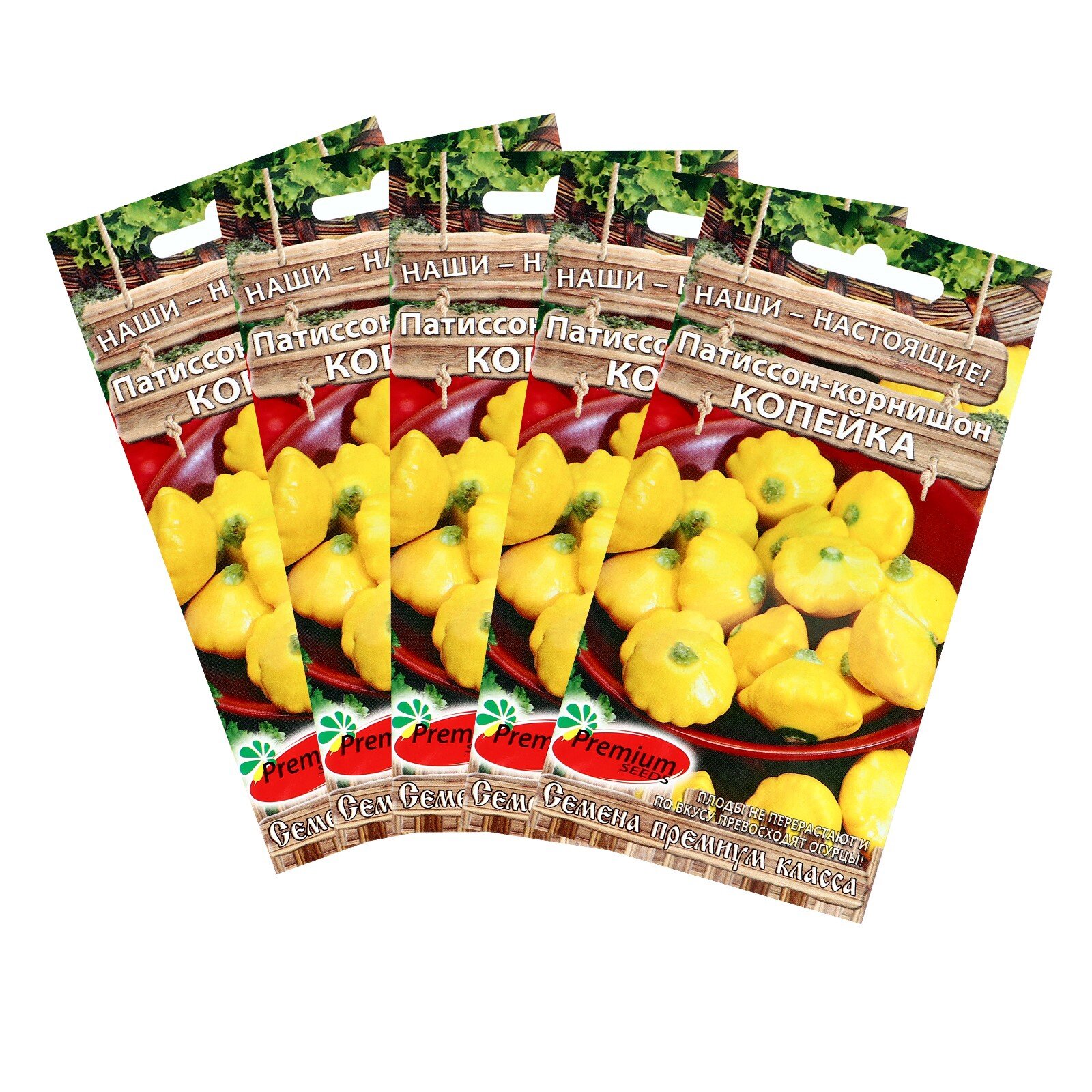 Семена Патиссон Копейка, набор 5 шт, 10839726