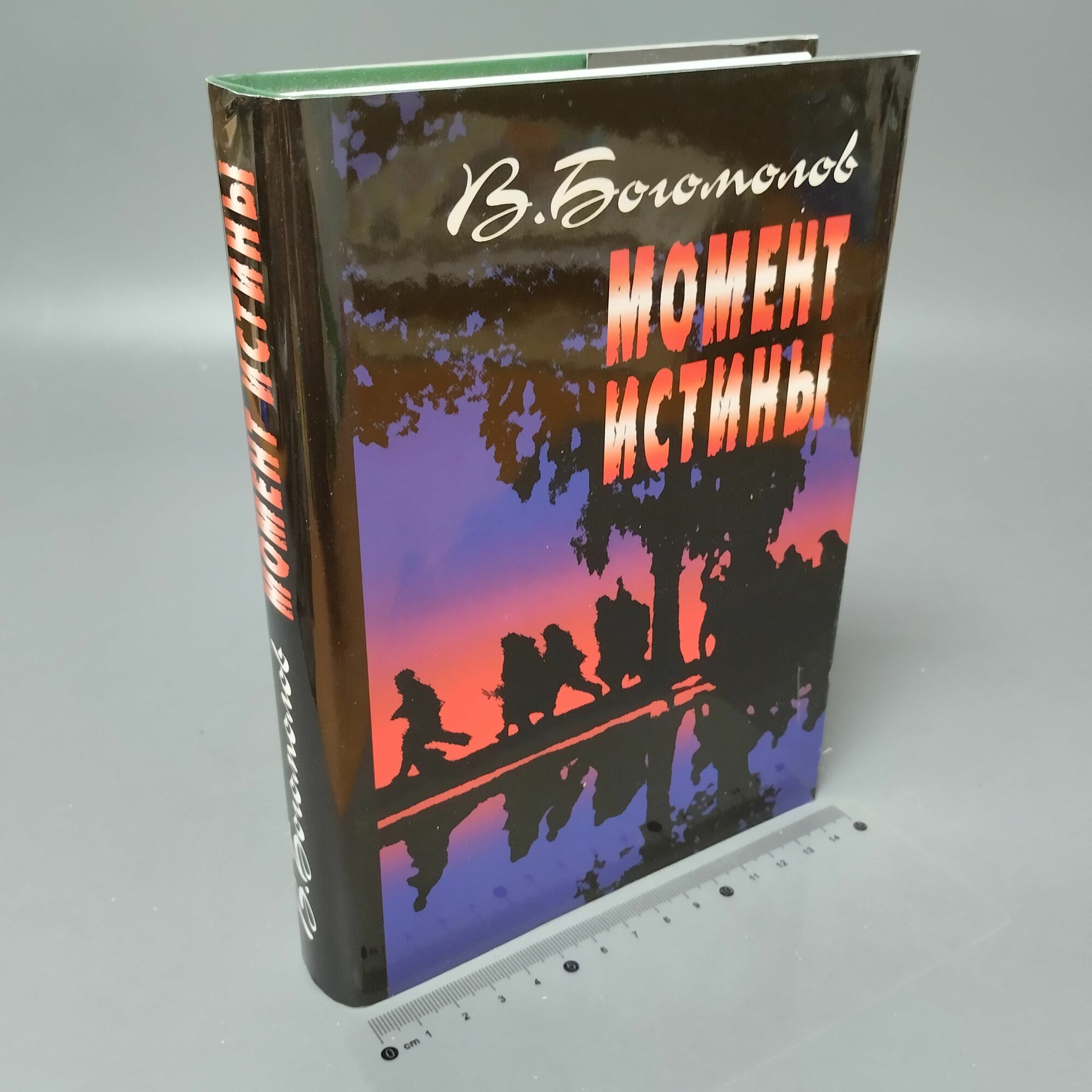 Момент истины. Богомолов Владимир Осипович. 2001