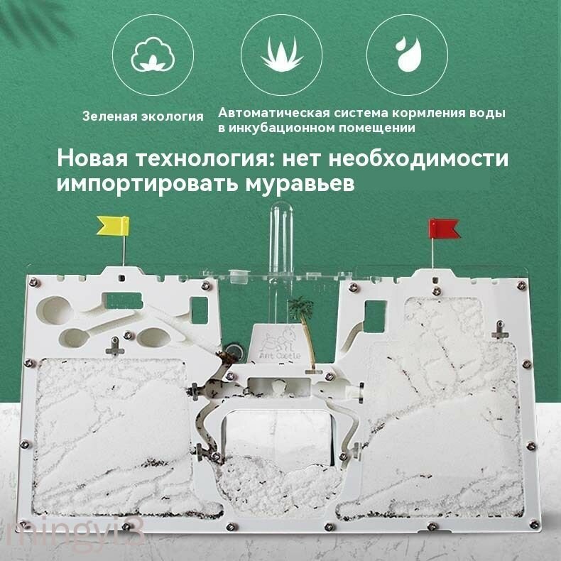 Муравьиная ферма — фото 1