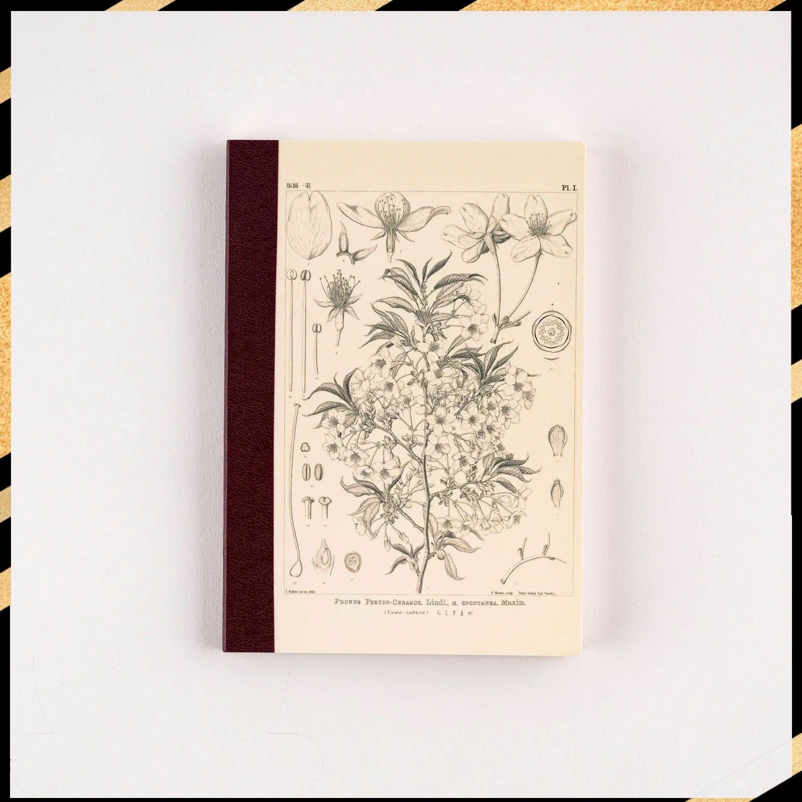 Планировщик Hobo2023 с эксклюзивным внутренним ядром Hobonichi, формат одна страница на день для полного года, внушительный объем