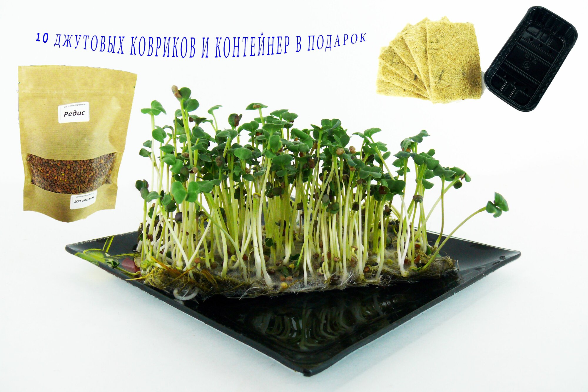 Семена Микрозелень "Редис", для выращивания, 100 г