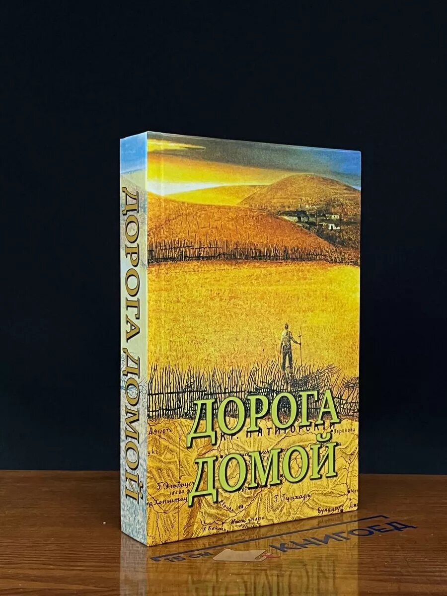 Книга. Дорога домой 2011 (2040770899235)
