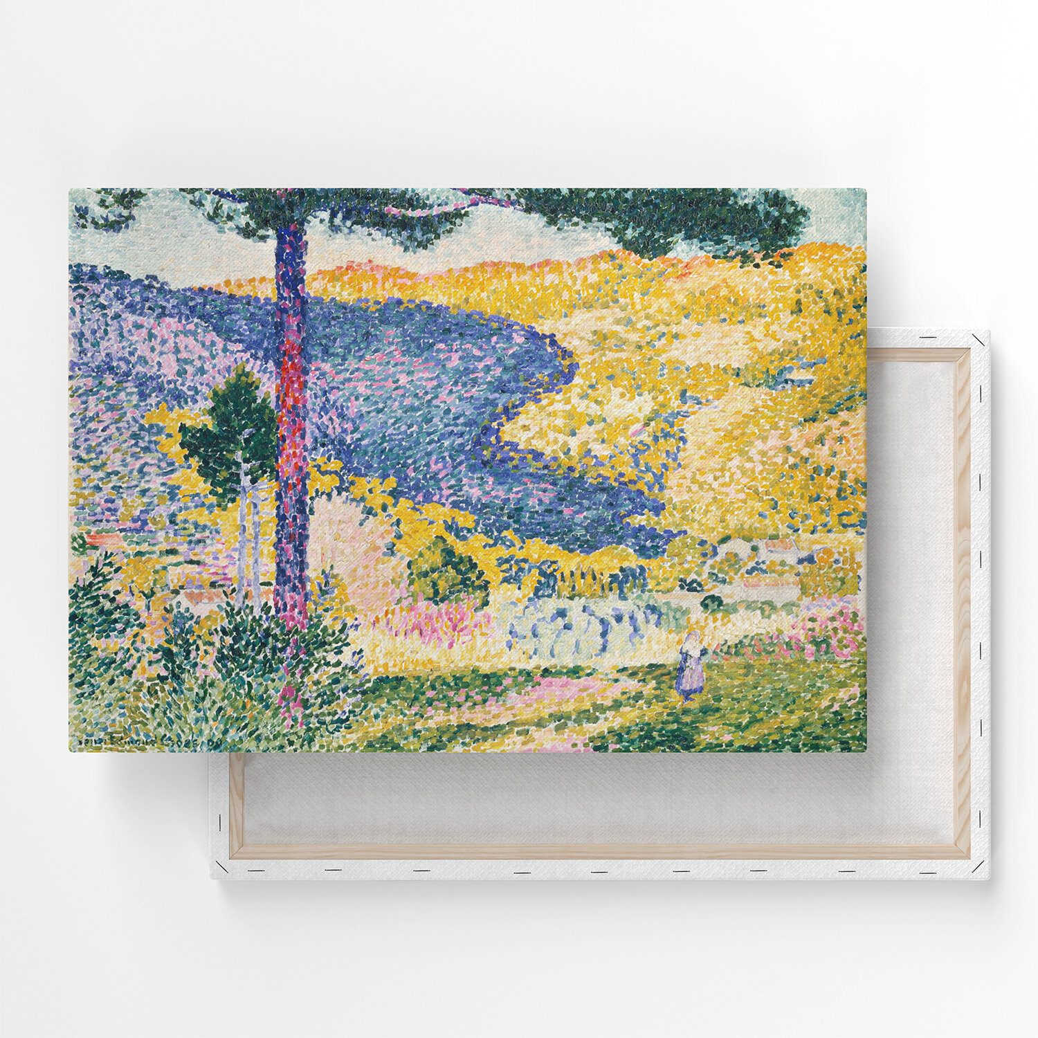 Картина на холсте, репродукция / Анри Кросс - Valley with Fir / Размер 40 x 53 см