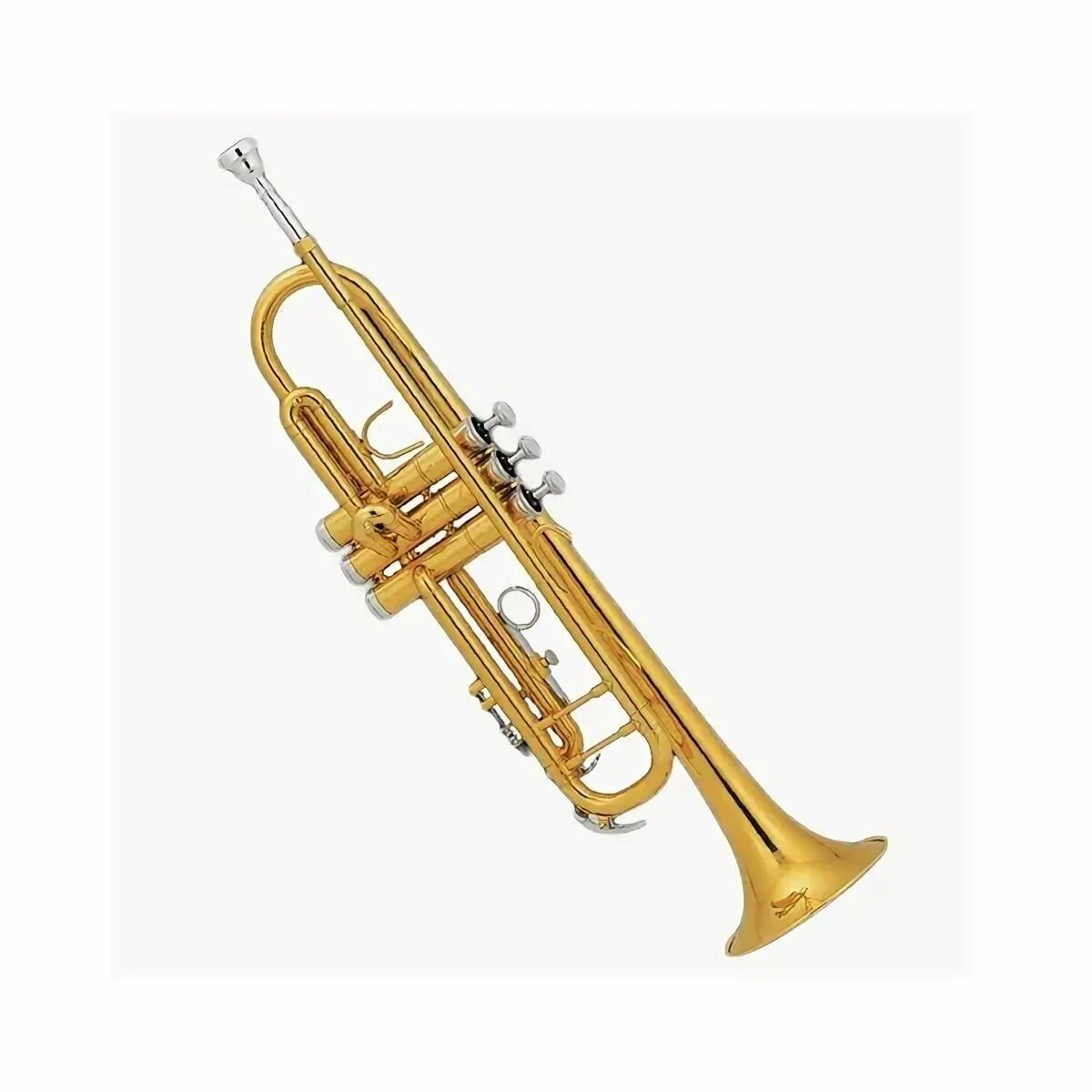 Gebr. Stolze TR-100G Труба Bb, помпы-мельхиор, корпус и раструб-латунь, 11.65/123, золотой лак