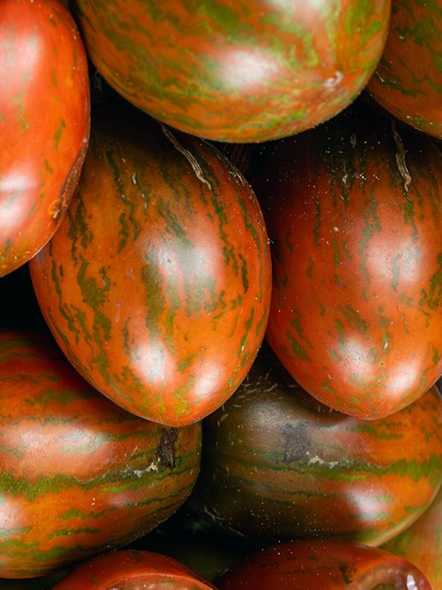 Томат гном Любовь Одри семена 8 штук