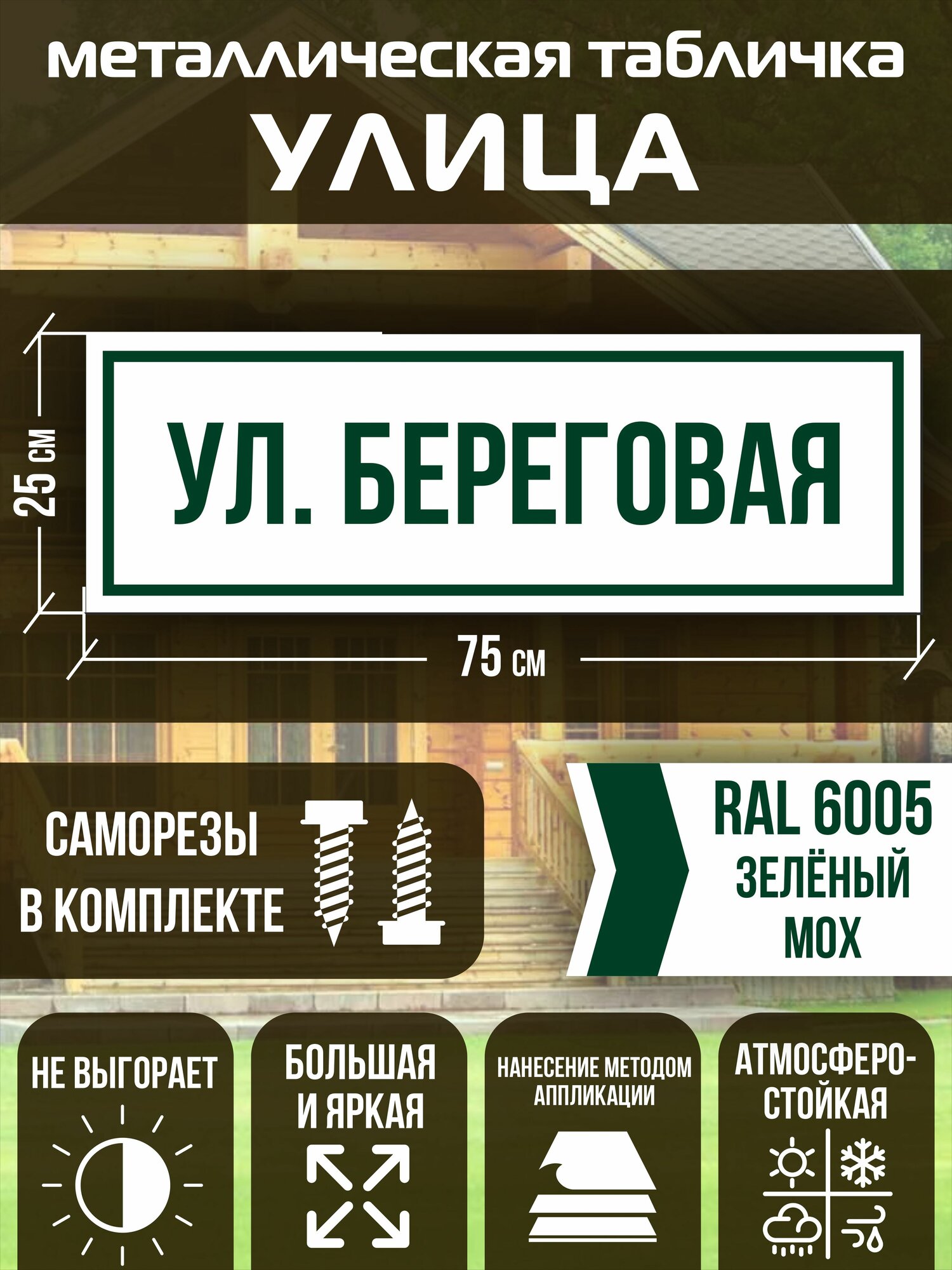 Адресная табличка на дом улица Береговая RAL 6005 зеленая