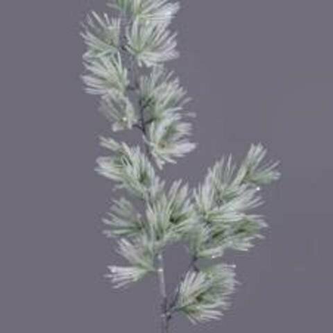 Holiday-Classics Ветка пихты "Блю стандарт" заснеженная, 63,5 см.