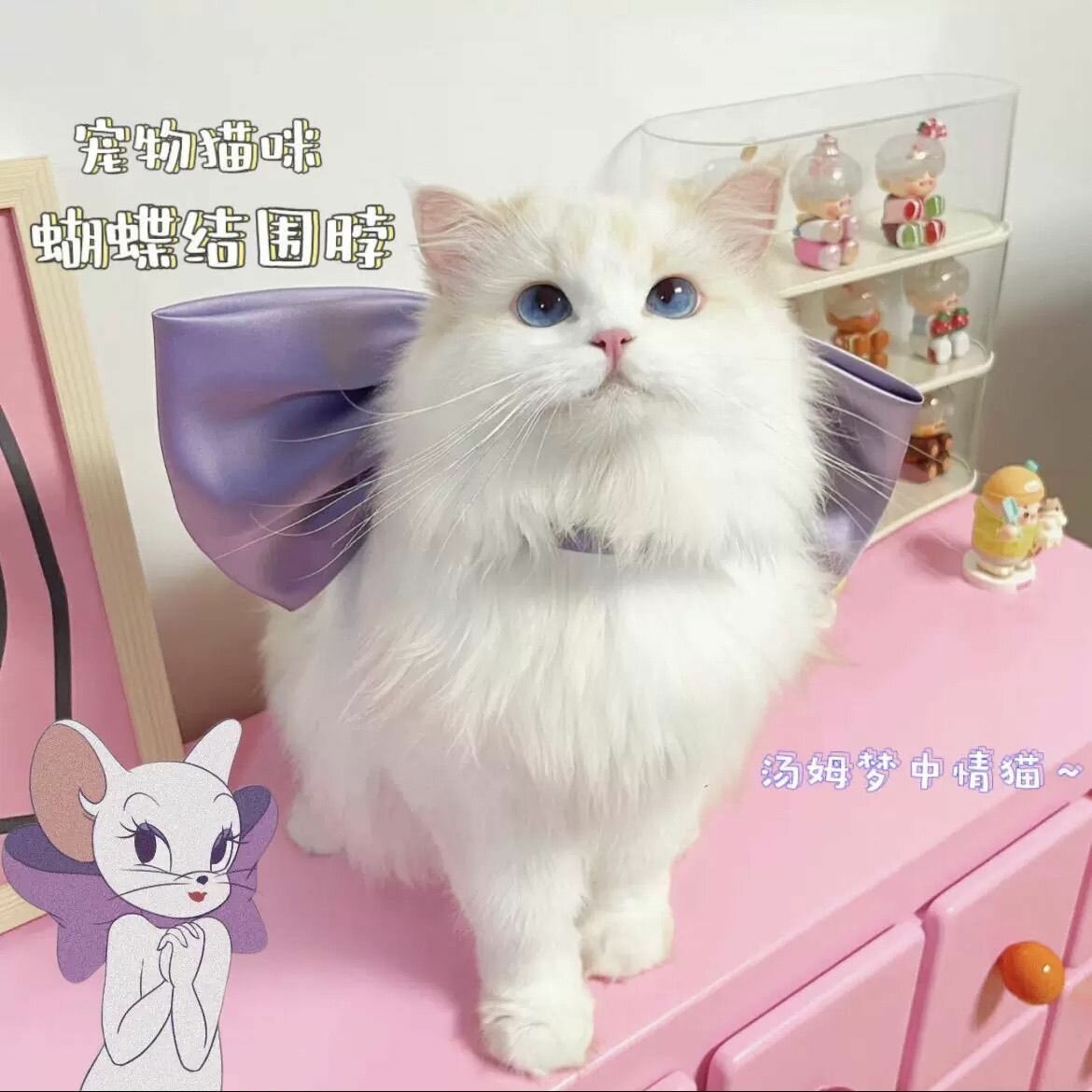 Домашний кот с фиолетовым бантом / одежда для домашних животных