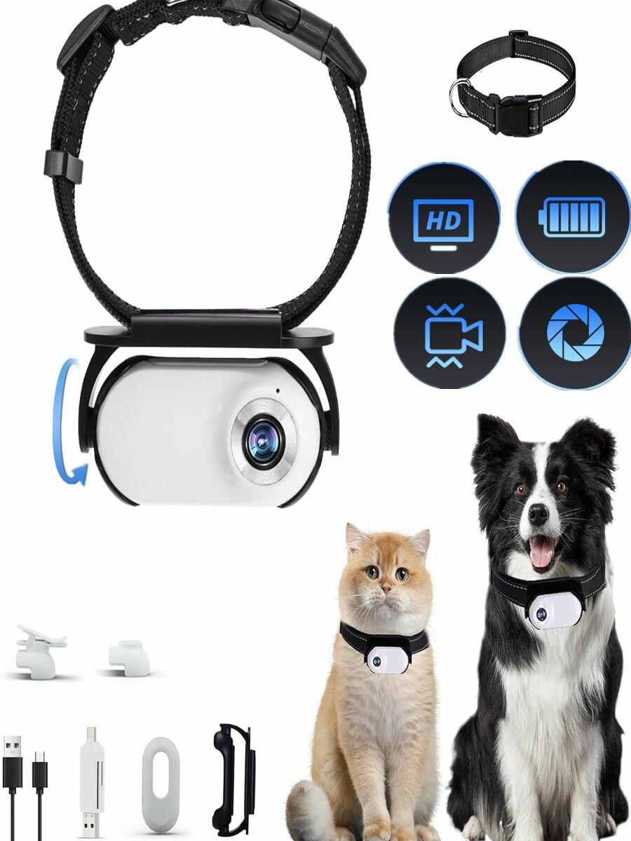 Экшн-камера для животных