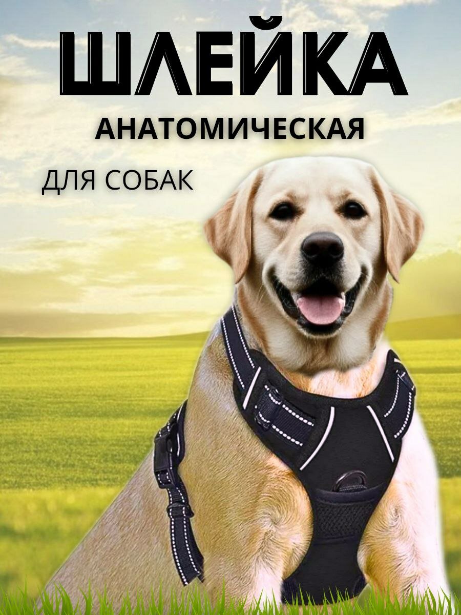 Шлейка для средних и крупных собак анатомическая, нейлоновая, прогулочная, черная