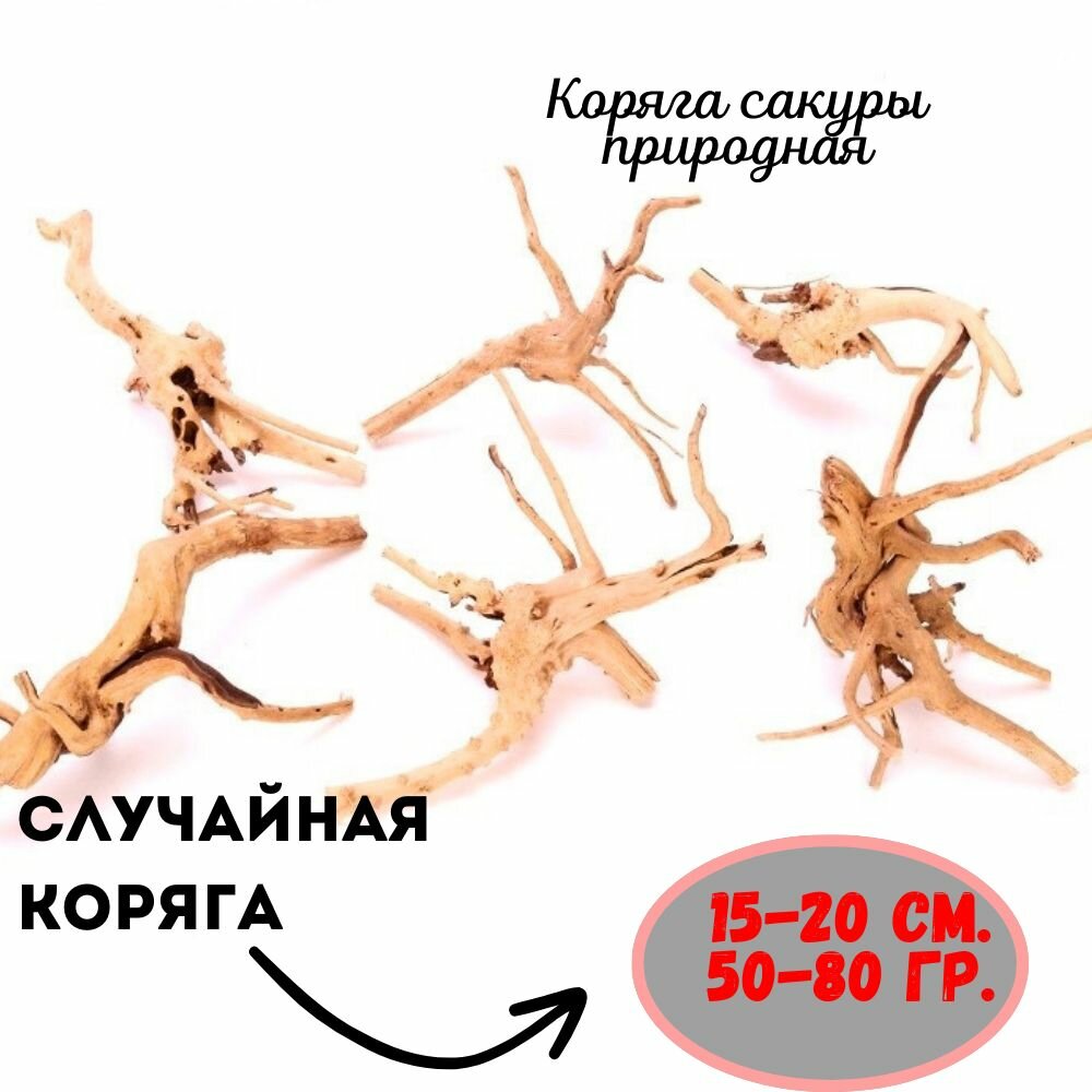 Декорация для аквариума — фото 1
