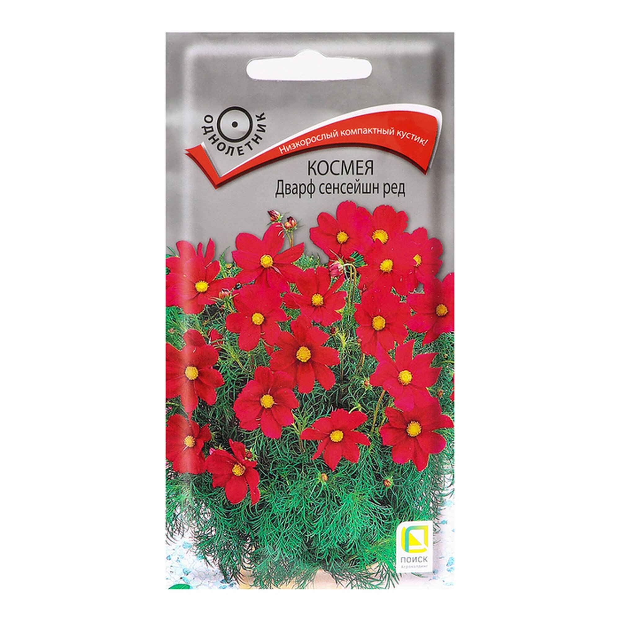 Семена цветов поиск Космея "Дварф сенсейшн ред", вес 0.2 грамма