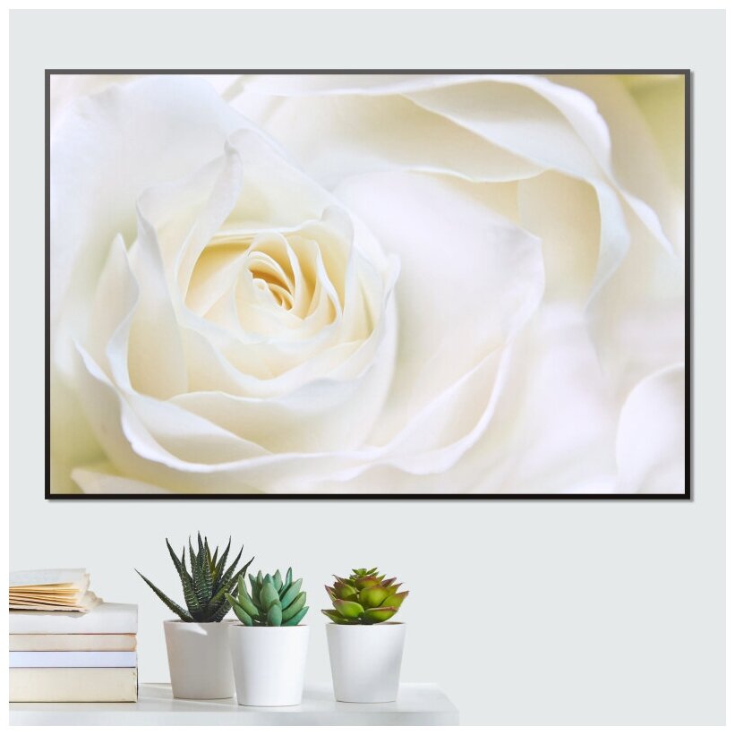 Постер Белая Роза Макросъемка 70х50 см в тубусе ПолиЦентр