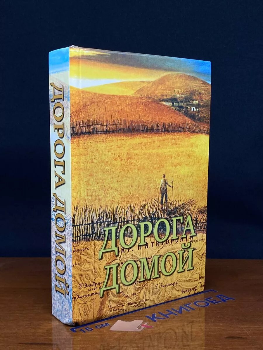 Книга. Дорога домой 2011 (2040801096770)