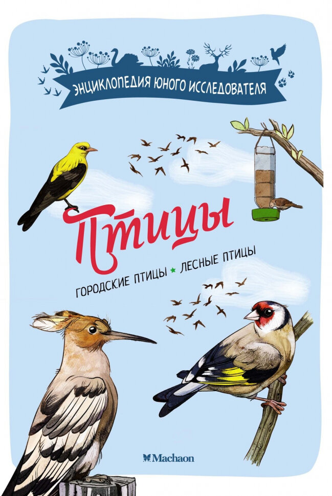 Птицы. Городские птицы. Лесные птицы