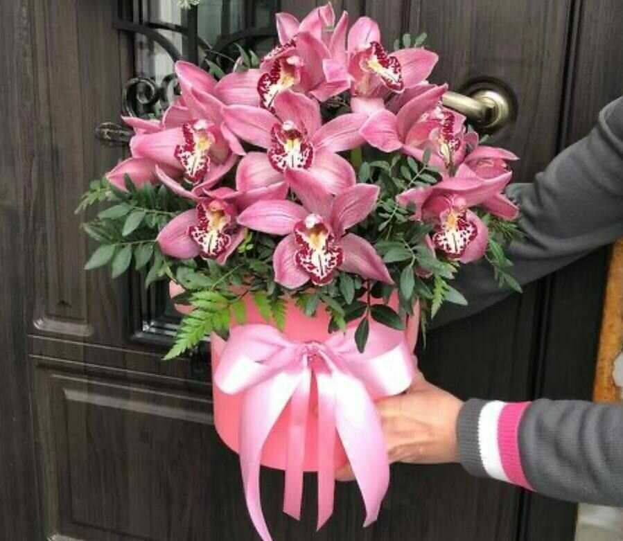 Орхидеи 11шт / Букет в коробке / Цветы