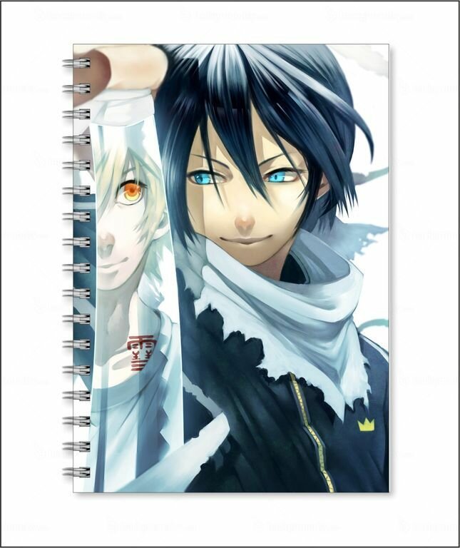 Тетрадь Noragami, Бездомный бог №3