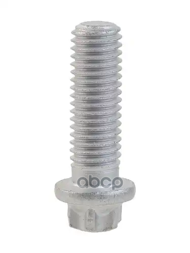 Болт крепления цапфы задней ступицы Stellox арт. 79-21053-SX