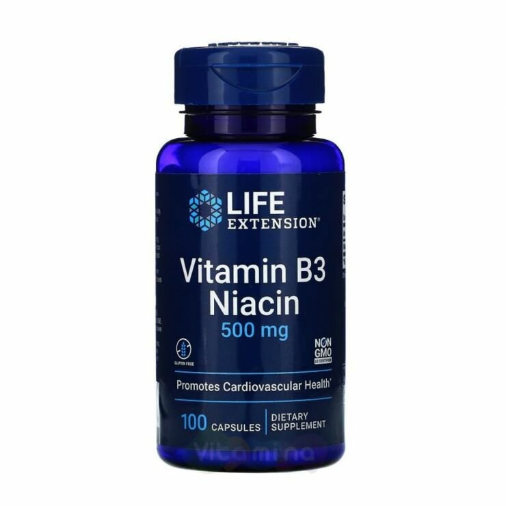 Ниацин, витамин в3, Life Extension Vitamin B3 Niacin, 100 капсул