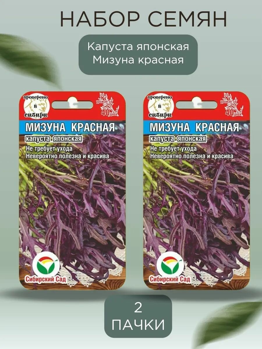 Семена Капуста Мизуна красная 0,5 гр Сибирский сад, 2 шт
