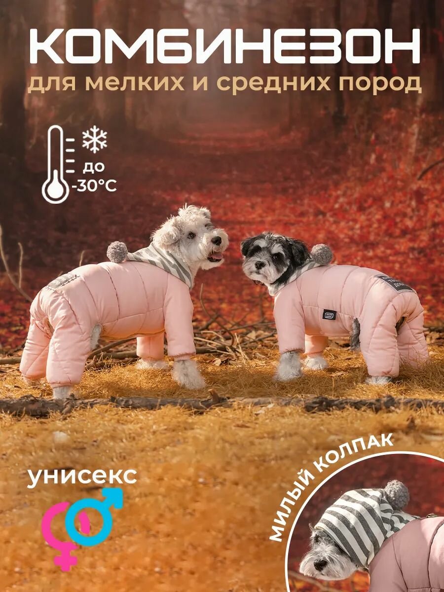 Шнурок Зимний комбинезон для собак мелких и средних пород