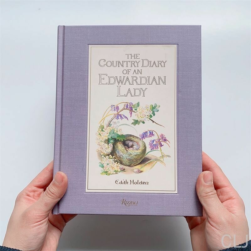 Дневник эдвардианской леди 1906 с иллюстрациями