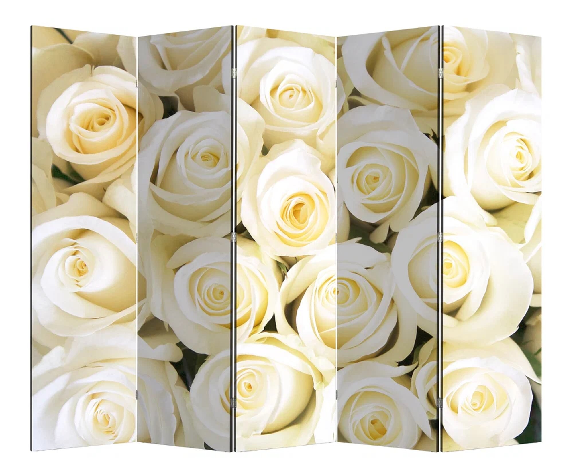 ПВХ ширма перегородка для зонирования Белые розы - 5, размер 177х235/47 см