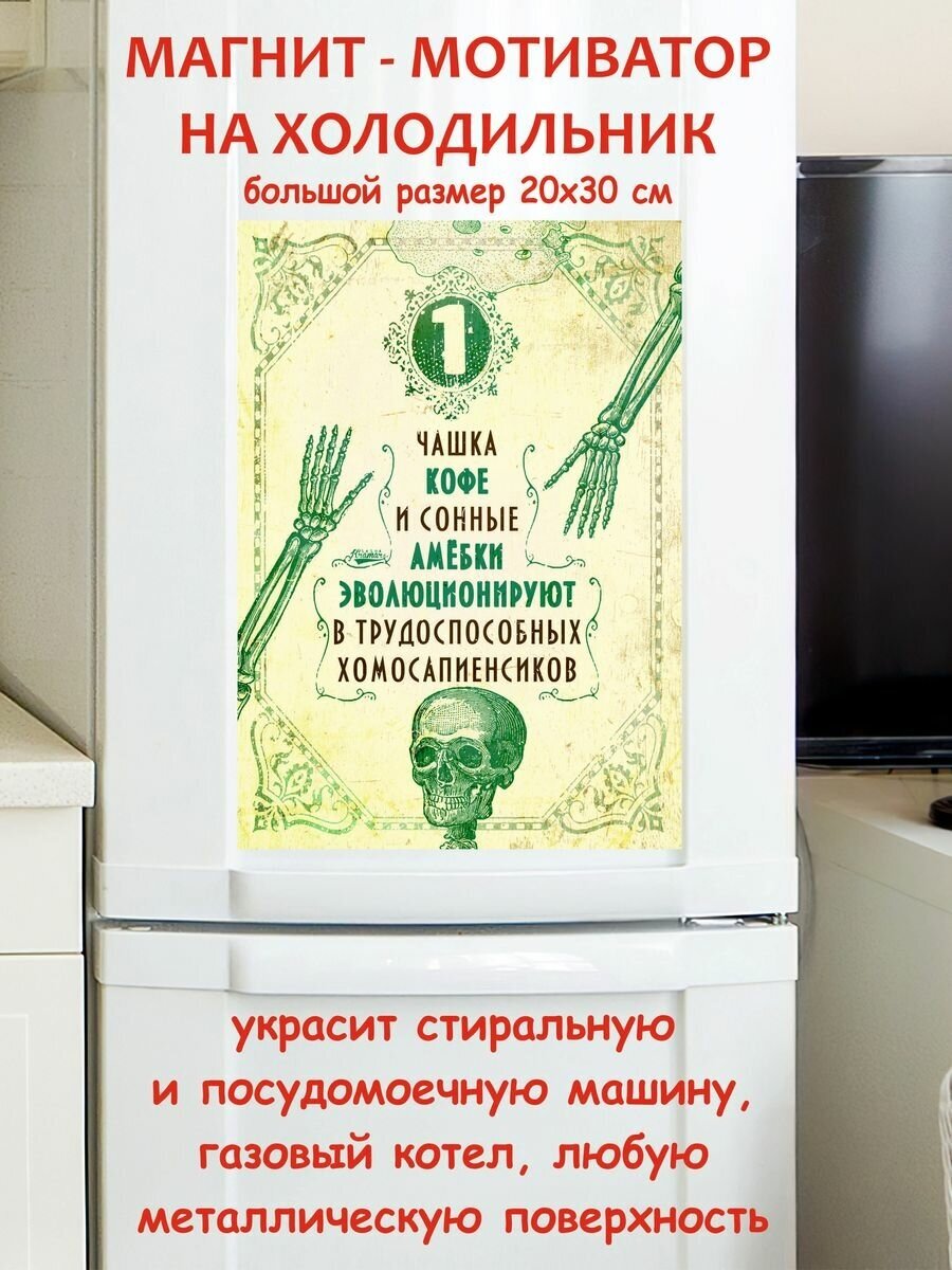 Прикольный подарок, одна чашка кофе и сонные амебки эволюционируют в трудоспособных хомосапиенсиков мотивация магнит гибкий на холодильник 20 на 30 см