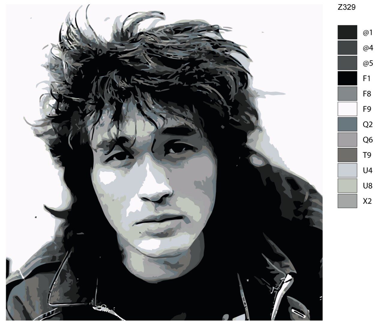 Картина по номерам Z329 "Виктор Цой" 40x40