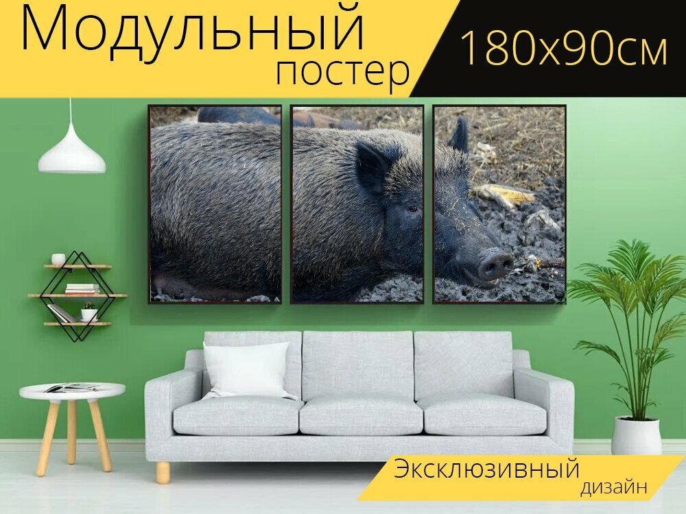 Модульный постер "Свинья, дикий кабан, щетина" 180 x 90 см. для интерьера