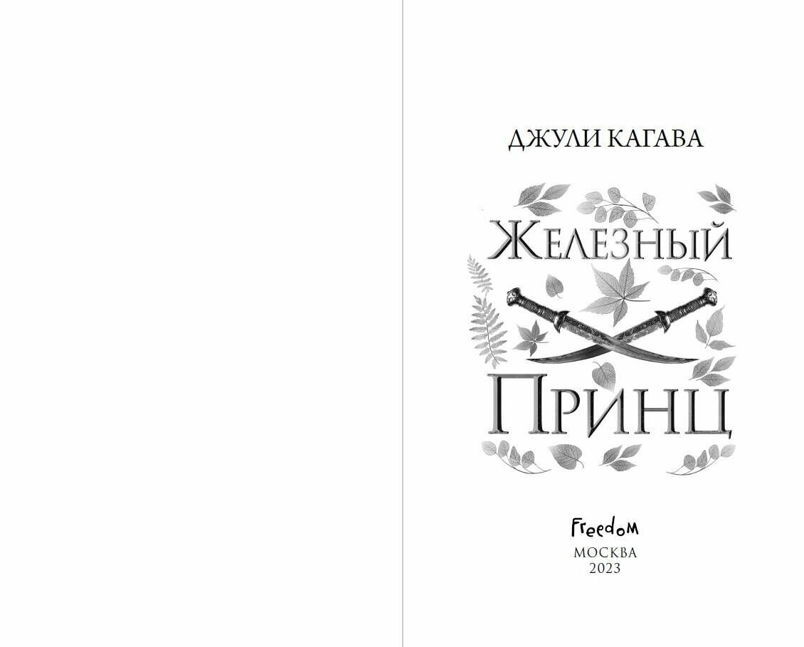 Железный принц — фото 1