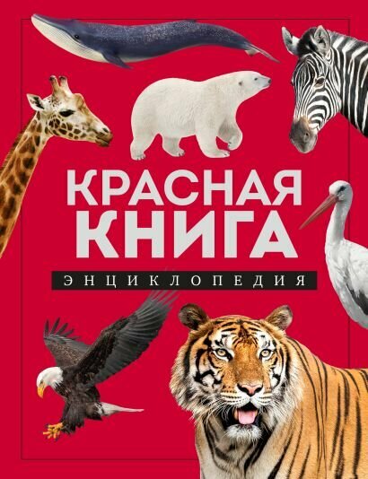 КраснаяКнига Красная книга. Энциклопедия (Лукашанец Д. А.), (Эксмо, 2024), 7Б, c.48